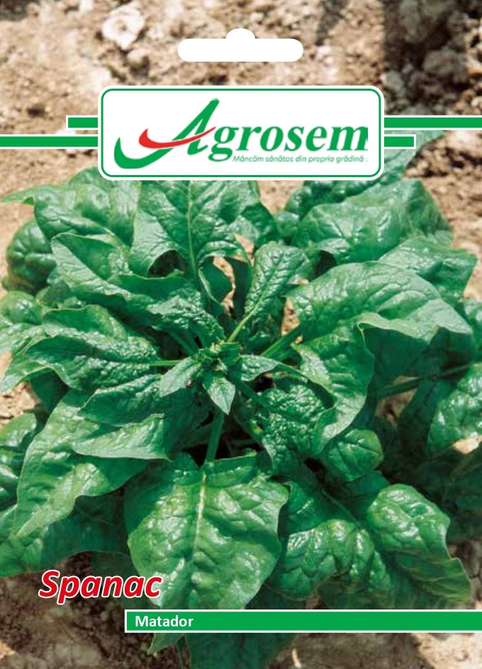 Seminte Spanac MATADOR 18 gr. - Agrosemseed.ro